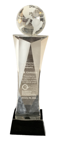 The Roberta Bondar Foundation Award for Innovation and Creativity - The ...