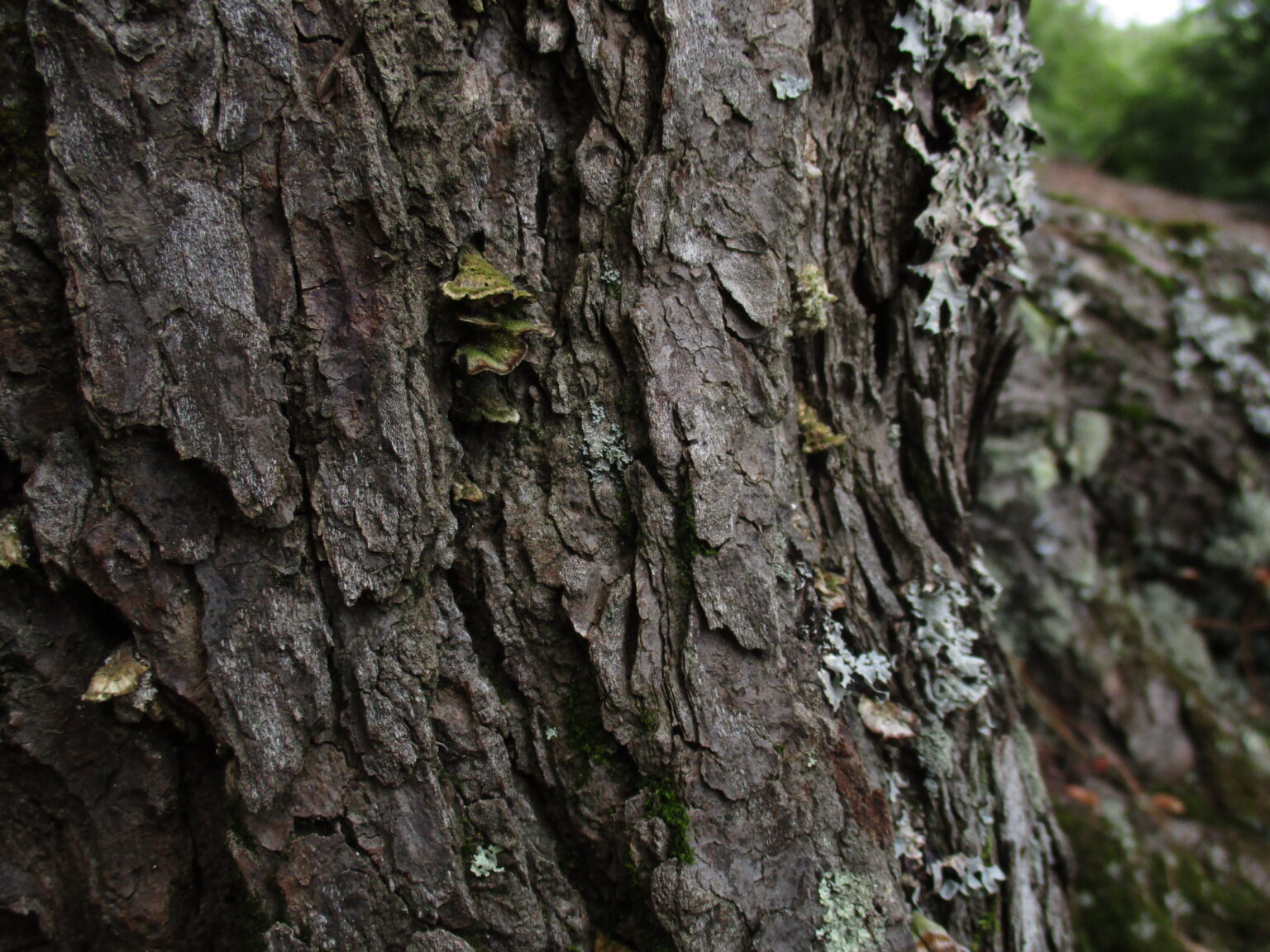 Summer Camp Bondar Challenge Winners - The Roberta Bondar Foundation
