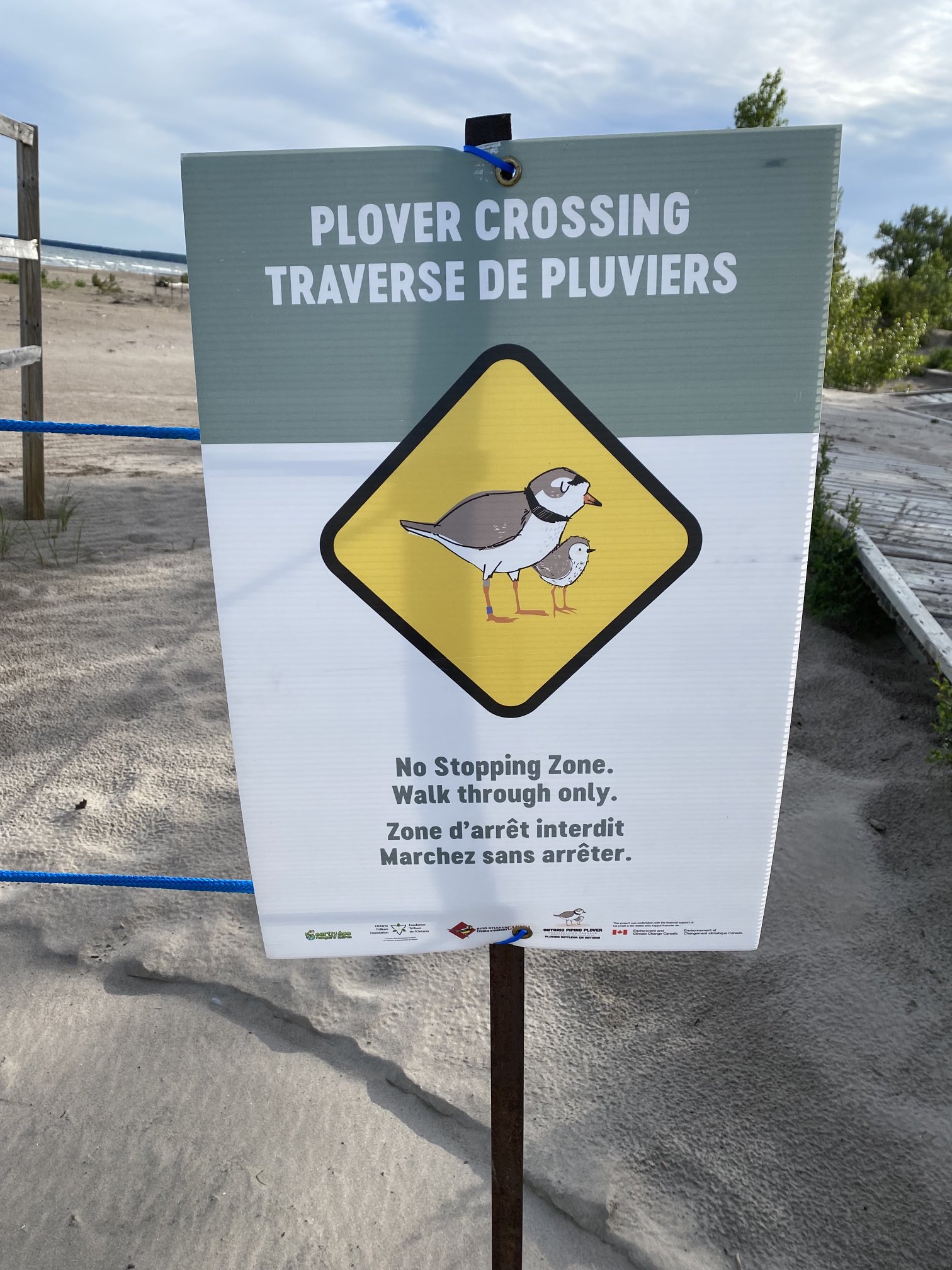 Shells and Sand Wasaga Beach - The Roberta Bondar Foundation