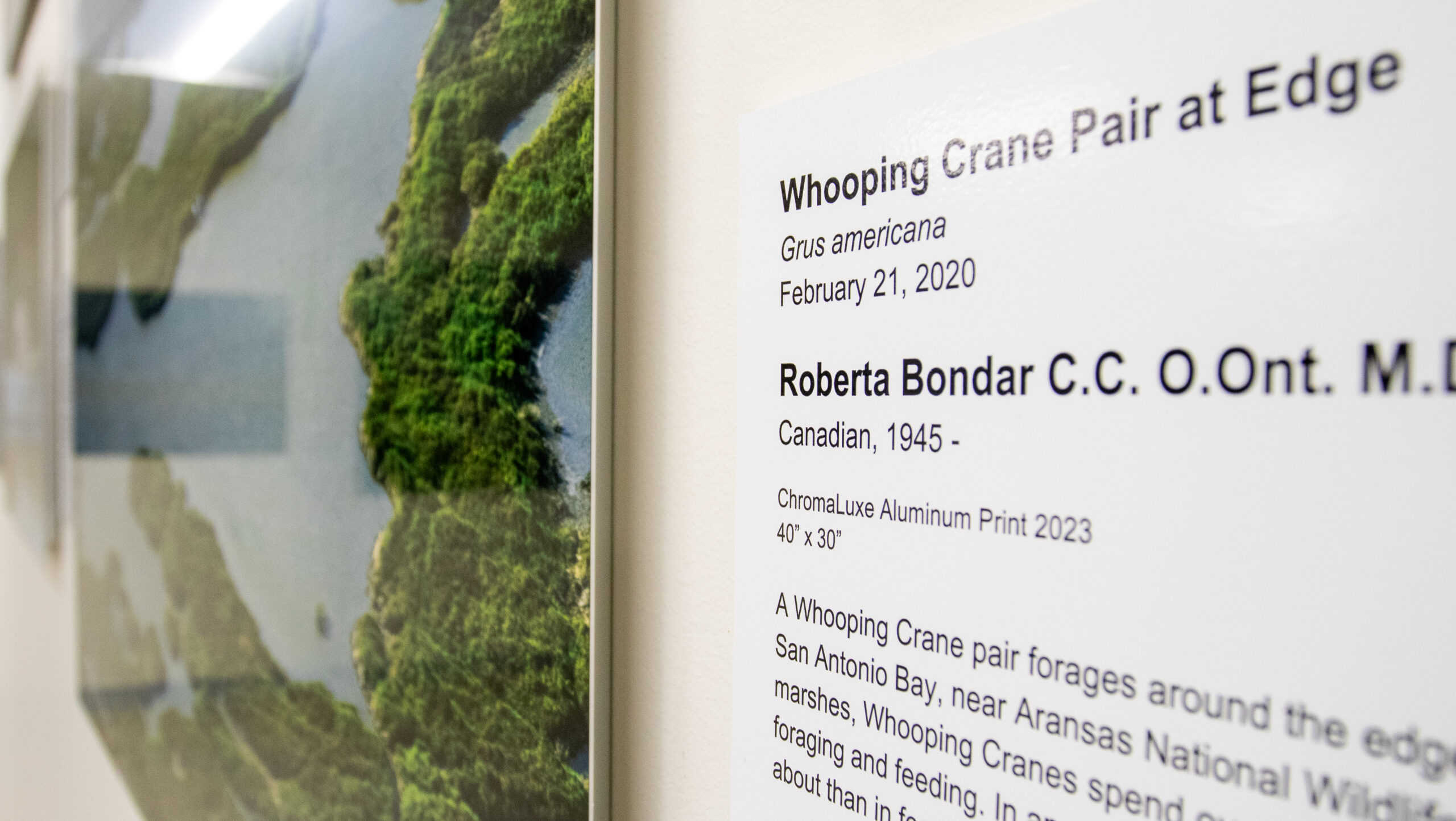 Hosting Patterns & Parallels - The Roberta Bondar Foundation